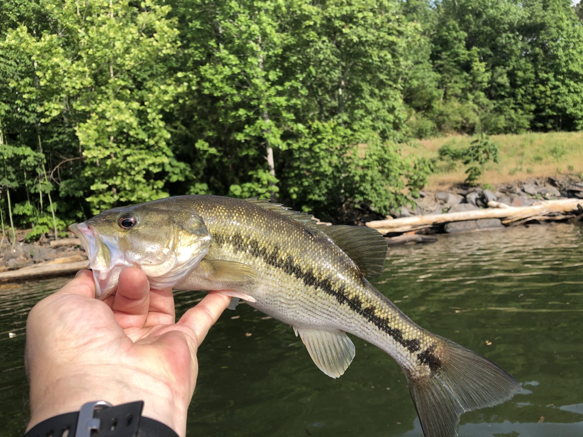 Fishing with Bill – BLP Creative